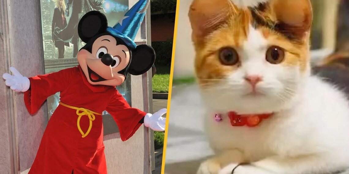 Starlink Satellites V2: SpaceX Launches First Batch of Next-Gen ...