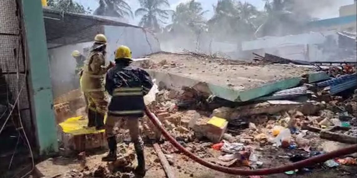 Leopard Spotted in Bengaluru Neighbourhood: Nighttime Safety Advisory ...